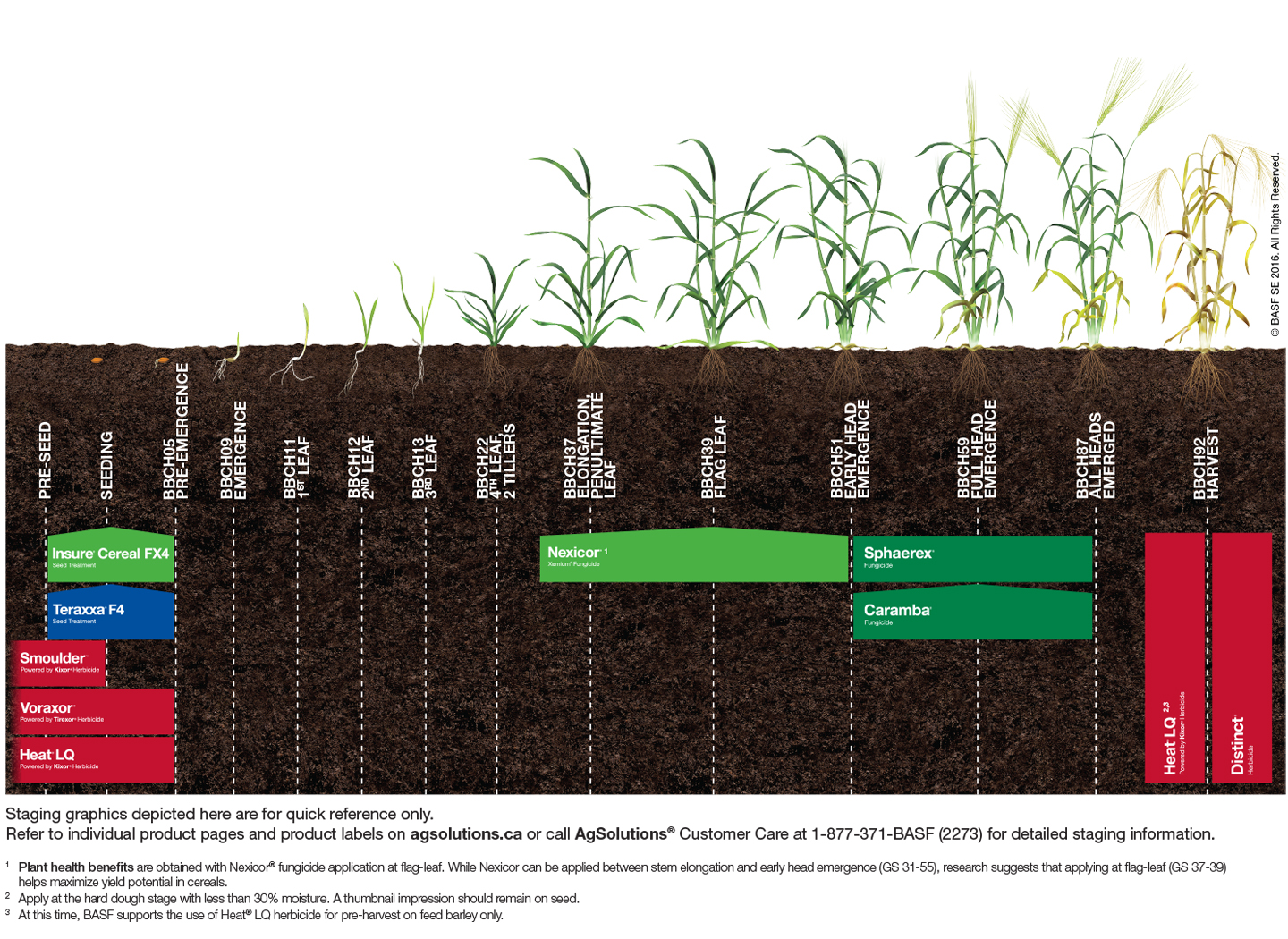 BASF | Crops - Cereals